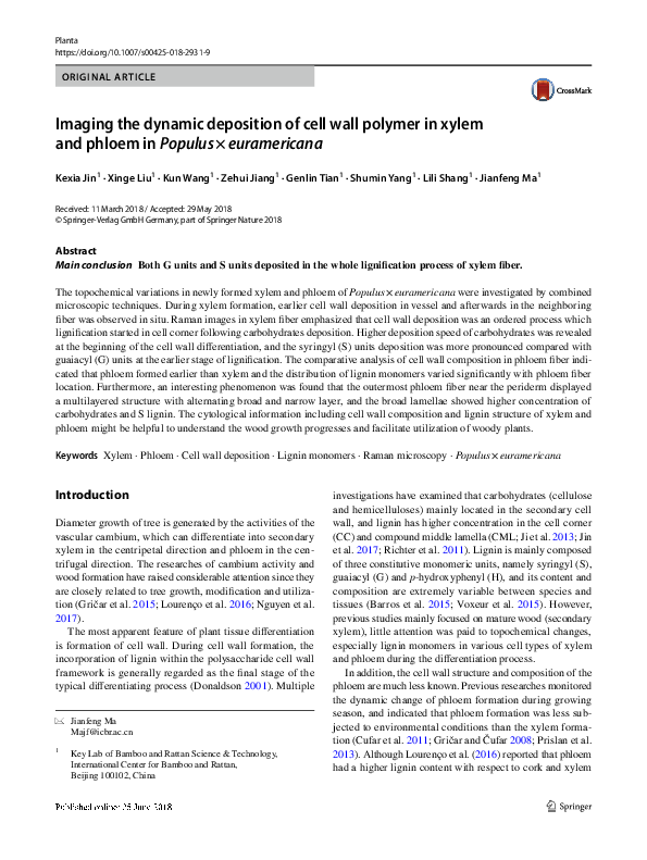 (PDF) Imaging the dynamic deposition of cell wall polymer in xylem and ...