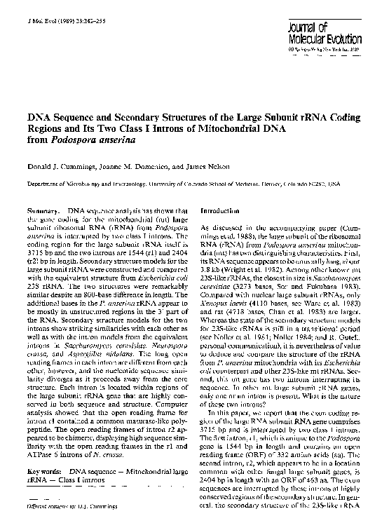 (PDF) DNA sequence and secondary structures of the large subunit rRNA ...