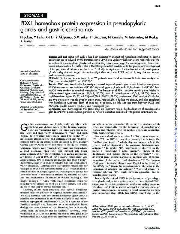 (PDF) PDX1 homeobox protein expression in pseudopyloric glands and ...