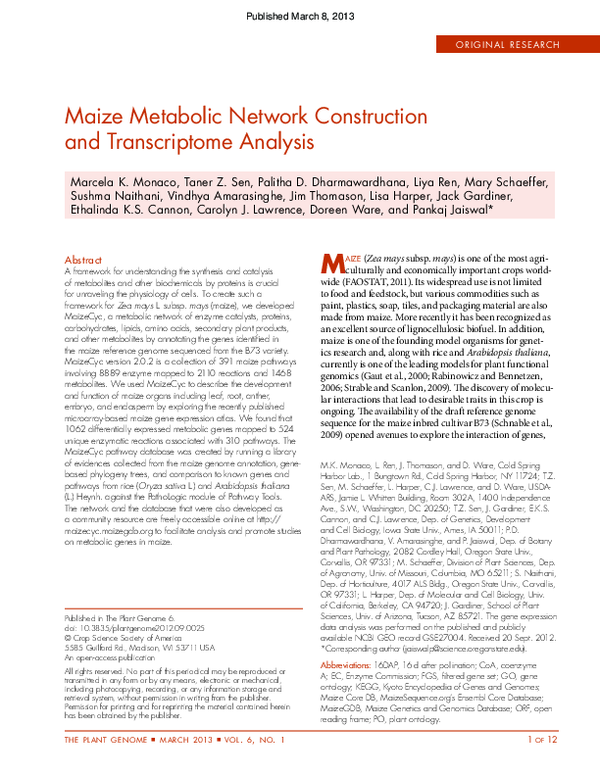 (PDF) Maize Metabolic Network Construction and Transcriptome Analysis | Marcela Karey Tello-Ruiz ...