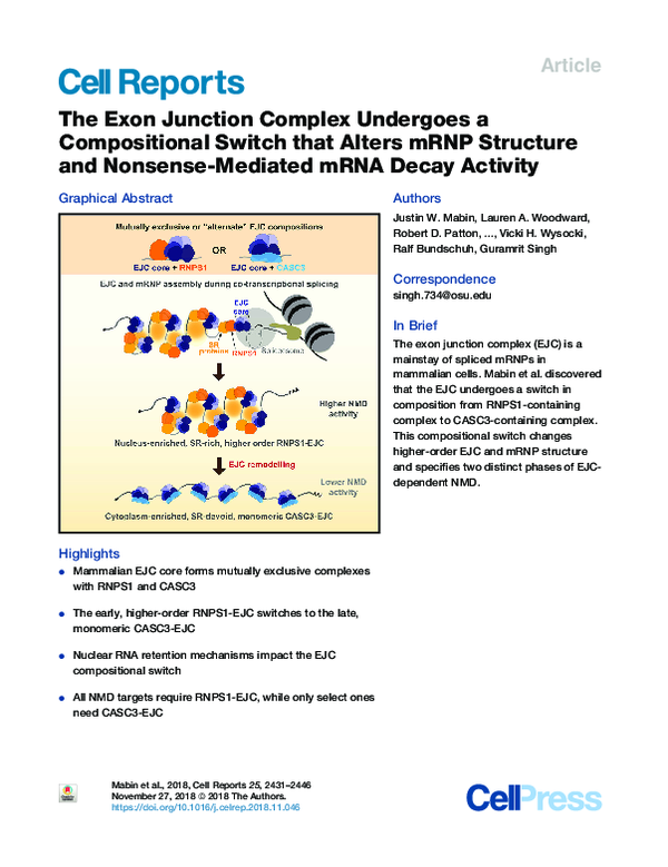 (PDF) The Exon Junction Complex Undergoes a Compositional Switch that ...