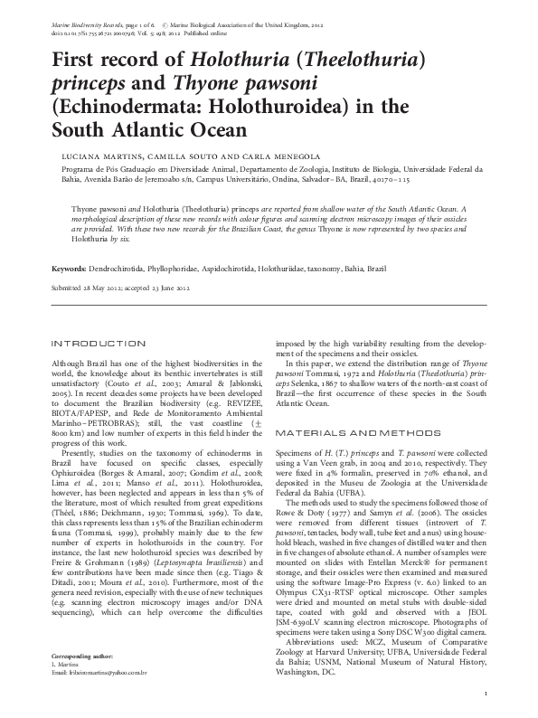 (PDF) First record of Holothuria (Theelothuria) princeps and Thyone ...