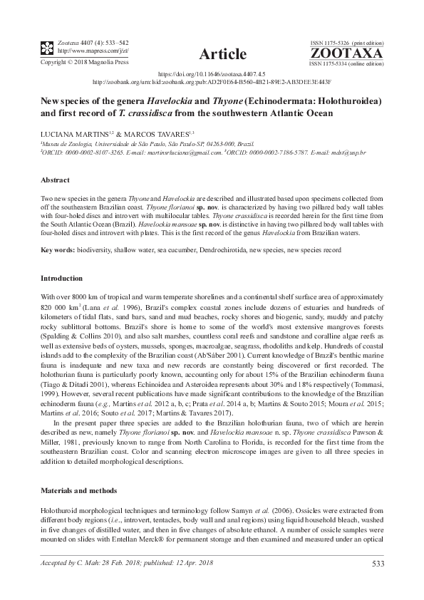 (PDF) New species of the genera Havelockia and Thyone (Echinodermata ...