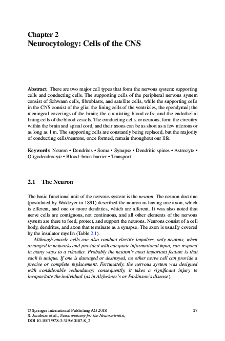 (PDF) Neurocytology: Cells of the CNS
