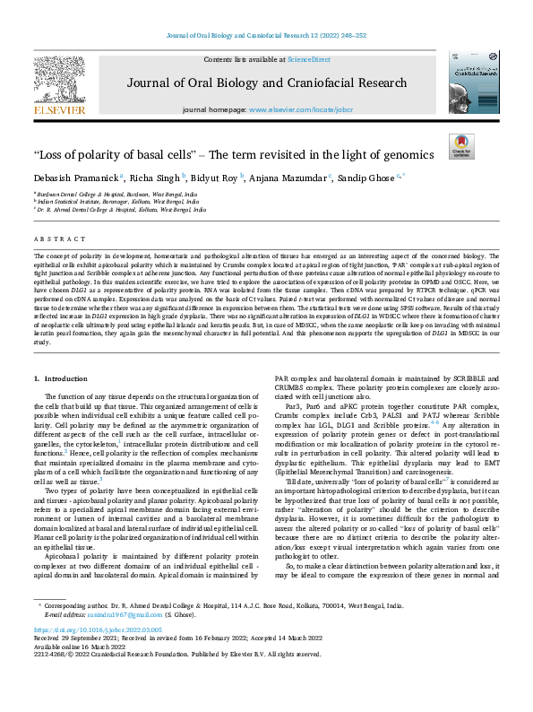 (PDF) “Loss of polarity of basal cells” – The term revisited in the ...