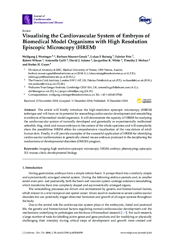 (PDF) Visualising the Cardiovascular System of Embryos of Biomedical ...