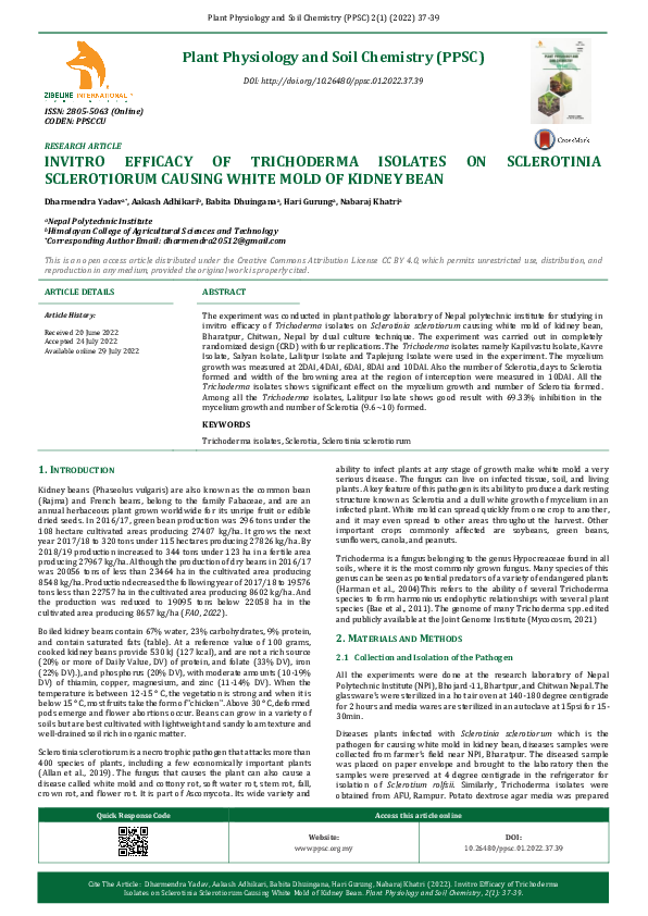 Pdf Invitro Efficacy Of Trichoderma Isolates On Sclerotinia Sclerotiorum Causing White Mold Of
