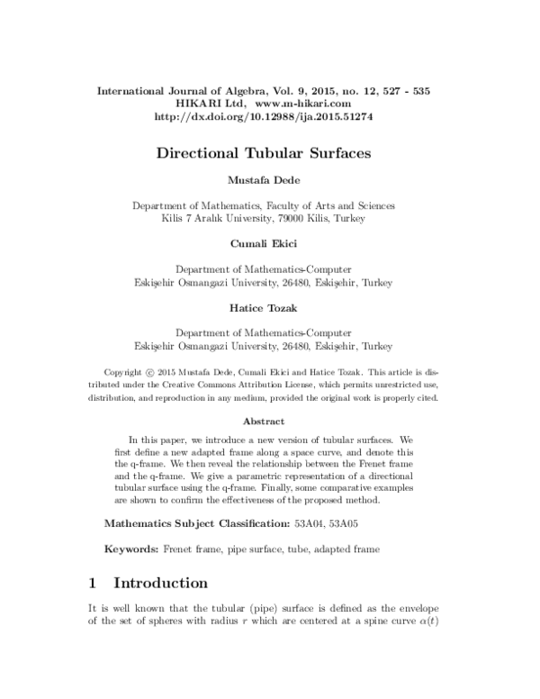 (PDF) Directional tubular surfaces