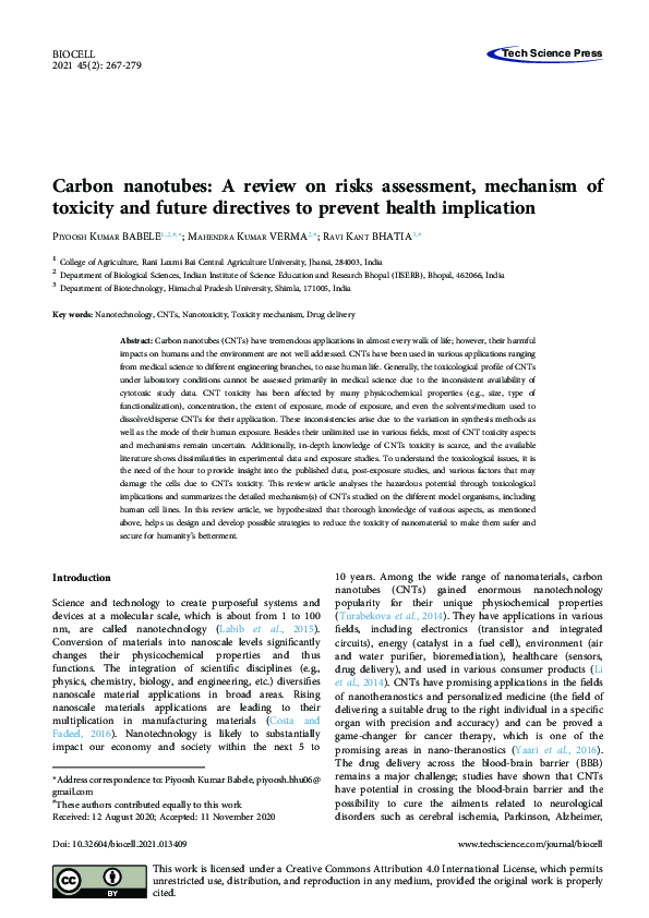 (PDF) Carbon nanotubes: A review on risks assessment, mechanism of toxicity and future ...