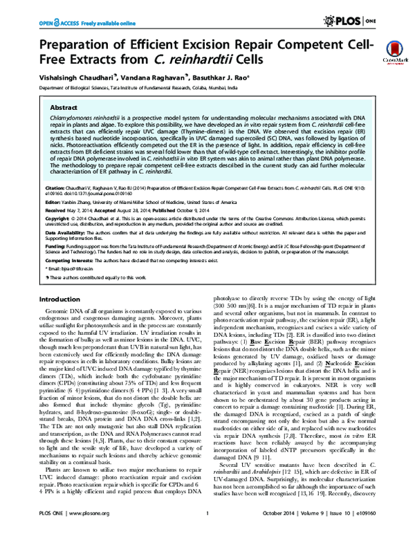 (PDF) Preparation of Efficient Excision Repair Competent Cell-Free ...
