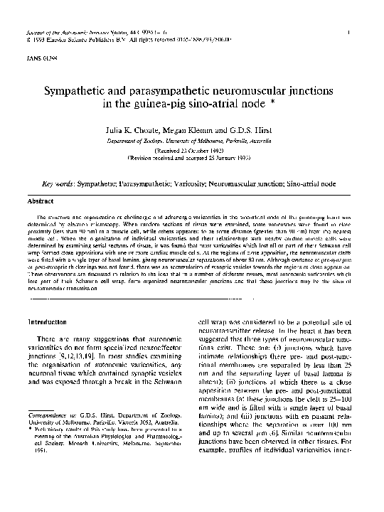 (PDF) Sympathetic and parasympathetic neuromuscular junctions in the ...