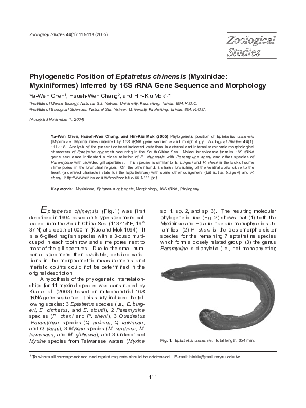 (PDF) Phylogenetic position of Eptatretus chinensis (Myxinidae ...