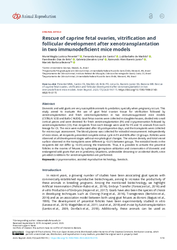 (PDF) Rescue of caprine fetal ovaries, vitrification and follicular ...