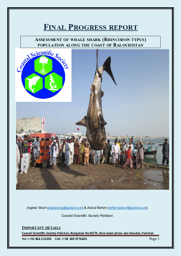 (DOC) CSS MFF SGF Final Progress Report