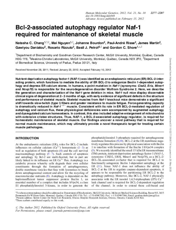 (PDF) Bcl-2-associated autophagy regulator Naf-1 required for maintenance of skeletal muscle ...