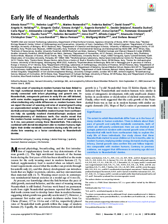 (PDF) Neanderthal Early Life: Growth and Weaning Insights