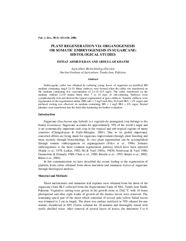 (PDF) Plant regeneration via organogenesis or somatic embryogenesis in ...
