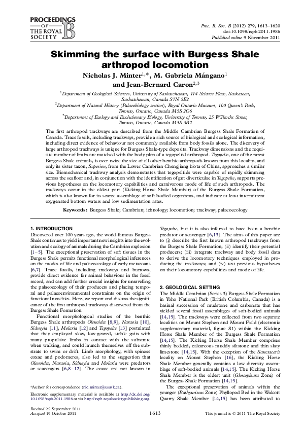 (PDF) Skimming the surface with Burgess Shale arthropod locomotion