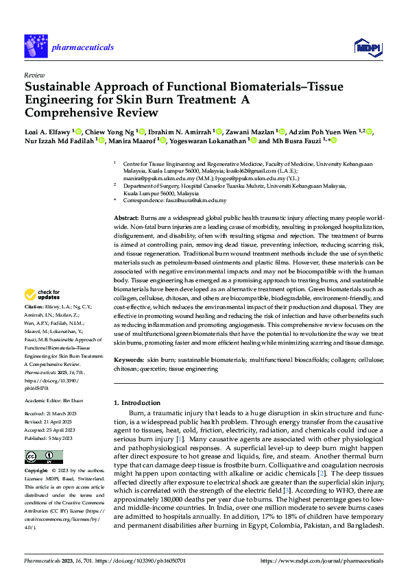 (PDF) Sustainable Approach of Functional Biomaterials–Tissue Engineering for Skin Burn Treatment ...