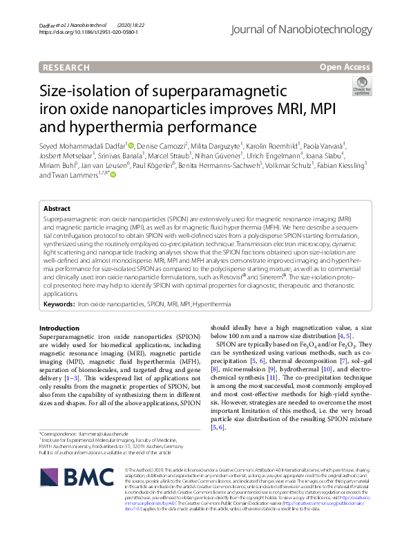 (PDF) Size-isolation of superparamagnetic iron oxide nanoparticles ...