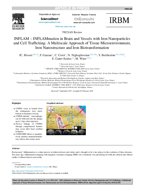 (PDF) INFLAM – INFLAMmation in Brain and Vessels with Iron ...