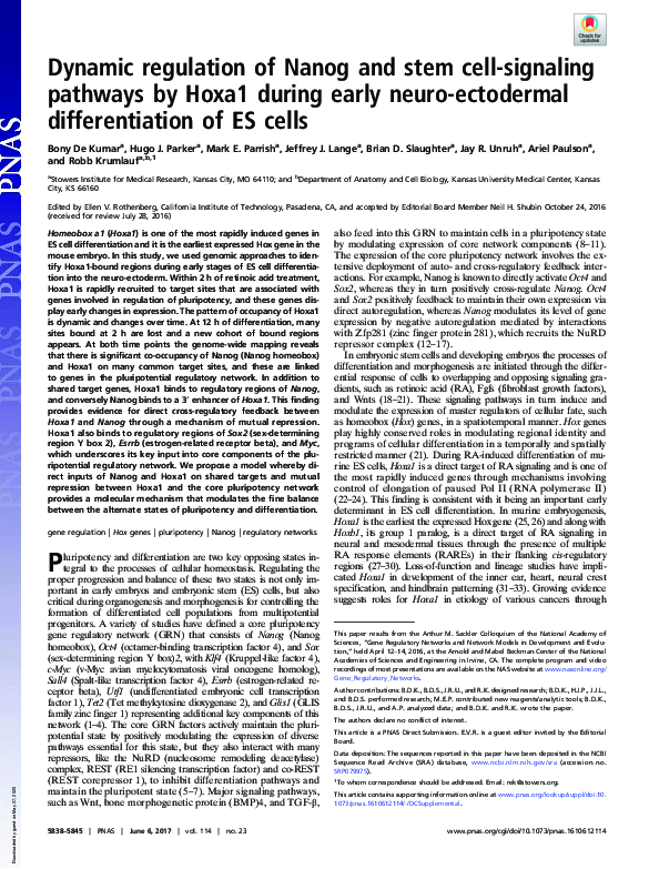 (PDF) Dynamic regulation of Nanog and stem cell-signaling pathways by Hoxa1 during early neuro ...