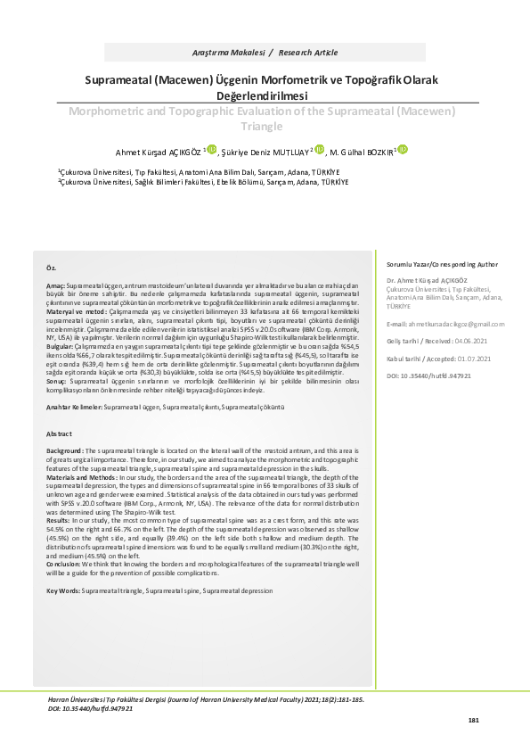 (PDF) Morphometric and Topographic Evaluation of the Suprameatal ...