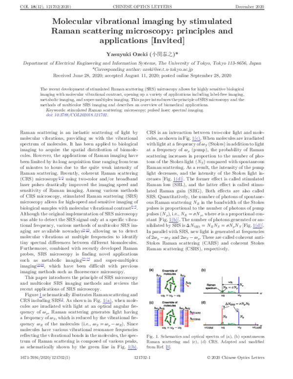 (PDF) Molecular vibrational imaging by stimulated Raman scattering ...