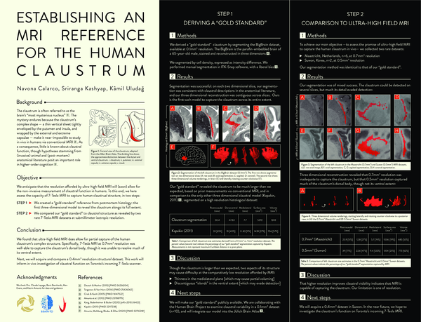 (PDF) Establishing an MRI reference for the human claustrum