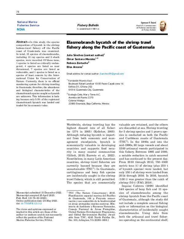 (PDF) Elasmobranch bycatch of the shrimp trawl fishery along the ...