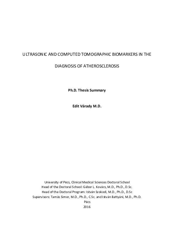 (PDF) PhD THESIS (Summary)