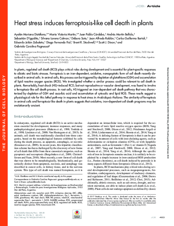 (PDF) Heat stress induces ferroptosis-like cell death in plants