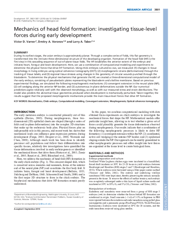 (PDF) Mechanics of head fold formation: investigating tissue-level ...