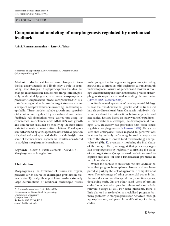 (PDF) Computational modeling of morphogenesis regulated by mechanical feedback