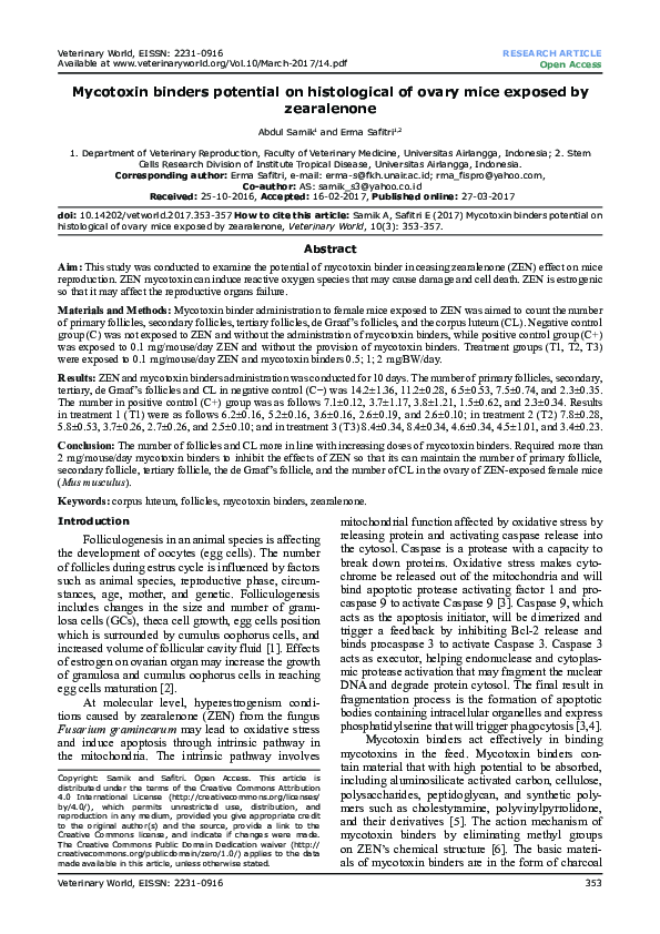 (PDF) Mycotoxin binders potential on histological of ovary mice exposed ...