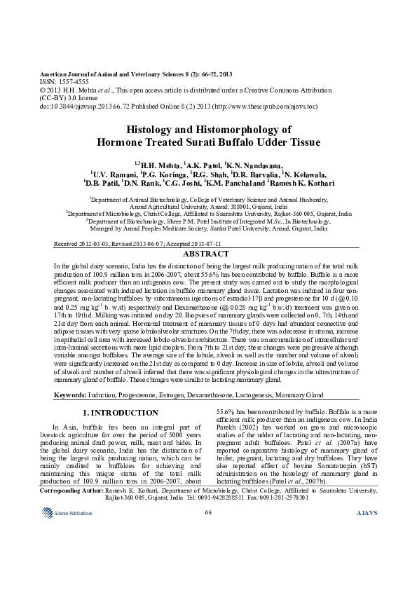 (PDF) Histology and Histomorphology of Hormone Treated Surati Buffalo ...