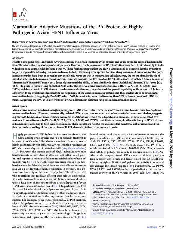 (PDF) Mammalian Adaptive Mutations of the PA protein of Highly ...