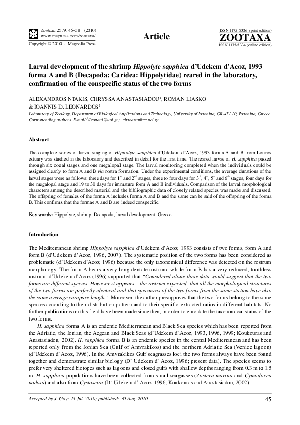 (PDF) Larval development of the shrimp Hippolyte sapphica d’Udekem d ...