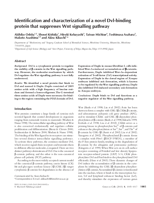 (PDF) Identification and characterization of a novel Dvl-binding ...