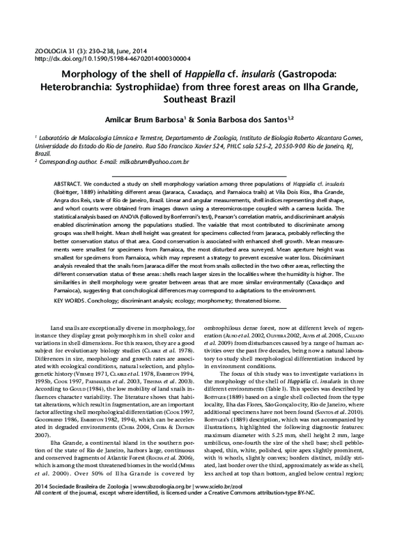 (PDF) Morphology of the shell of Happiella cf. insularis (Gastropoda ...