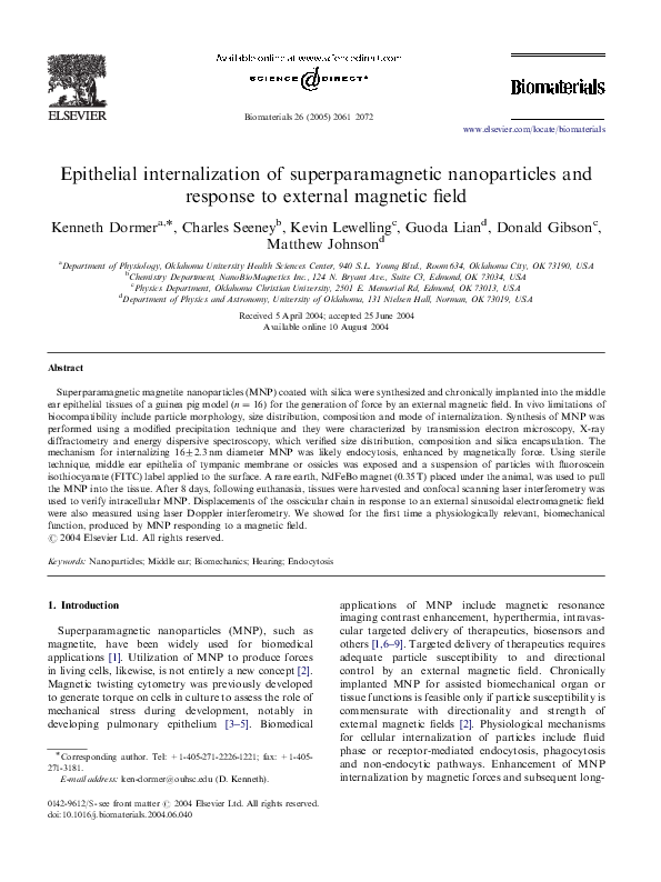 (PDF) Epithelial internalization of superparamagnetic nanoparticles and ...