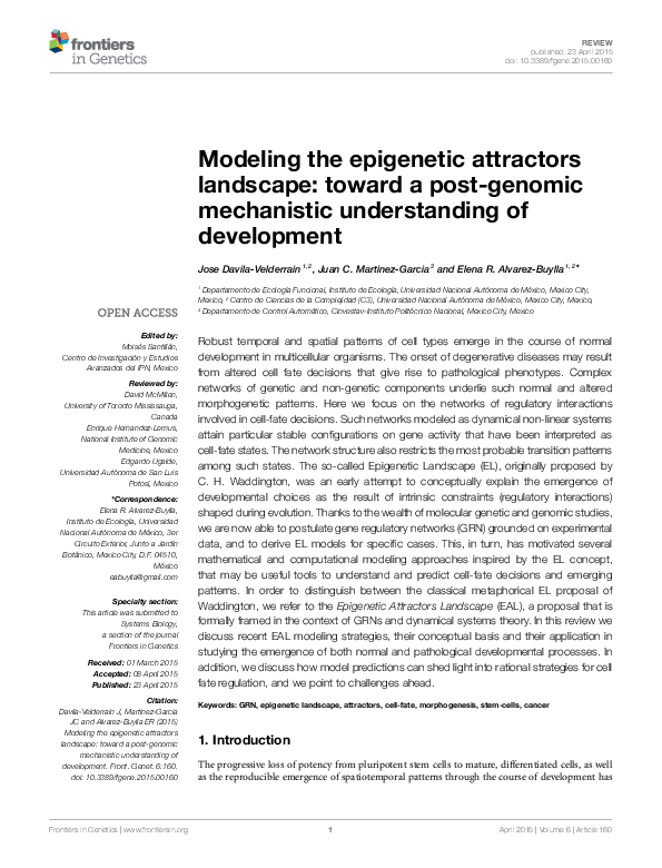 (PDF) Modeling the epigenetic attractors landscape: toward a post ...