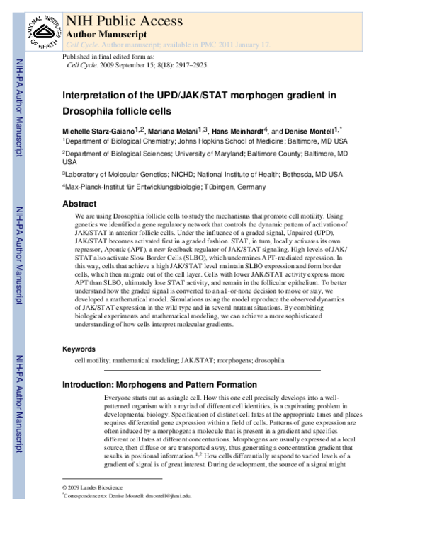 (PDF) Interpretation of the UPD/JAK/STAT morphogen gradient in ...