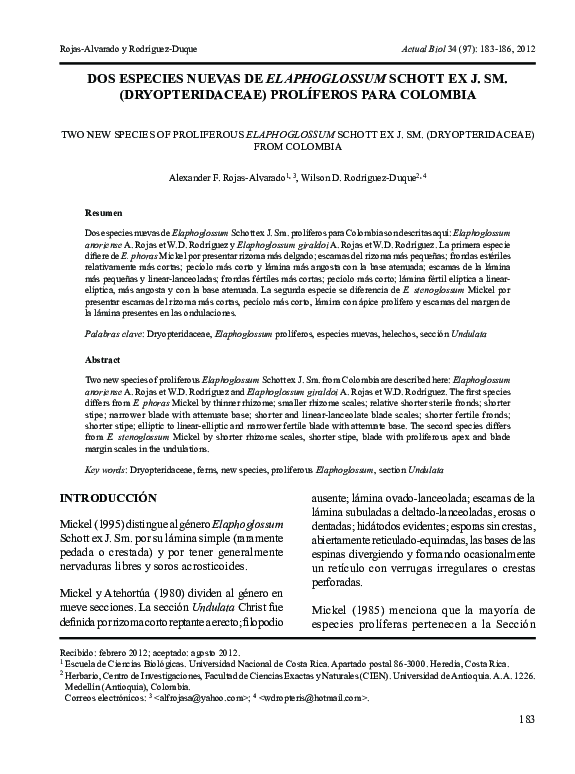 (PDF) Two New Species of Proliferous Elaphoglossum Schott Ex J. Sm ...