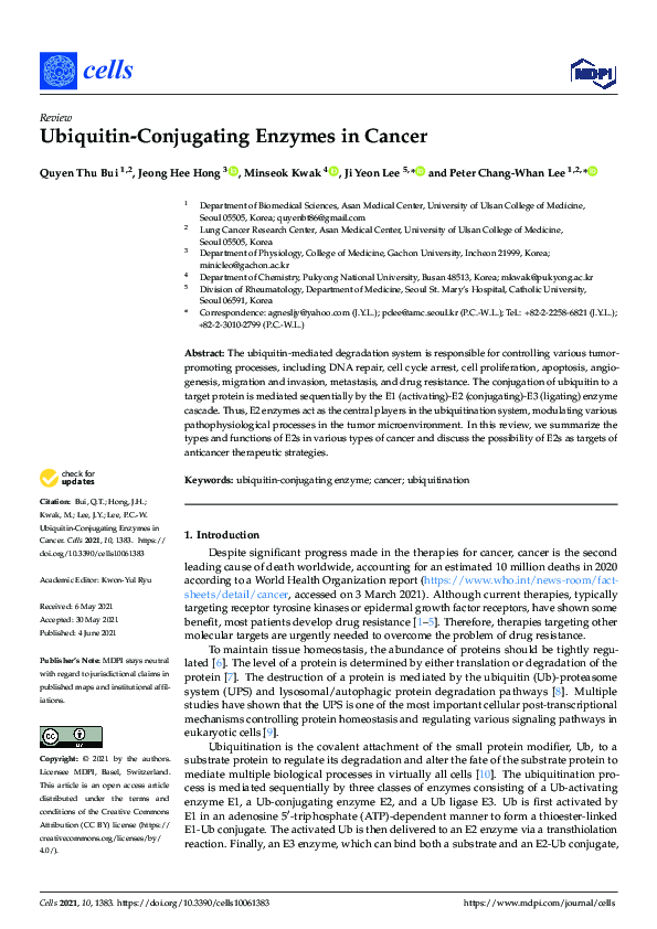Pdf Ubiquitin Conjugating Enzymes In Cancer