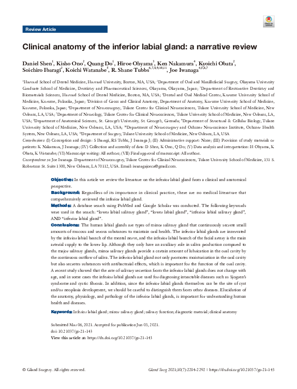 (PDF) Clinical anatomy of the inferior labial gland: a narrative review ...