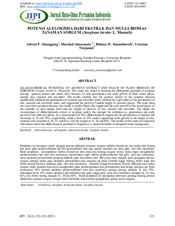 (PDF) POTENSI ALELOKIMIA DARI EXTRACT DAN MULSA BIOMAS TANAMAN SORGUM ...
