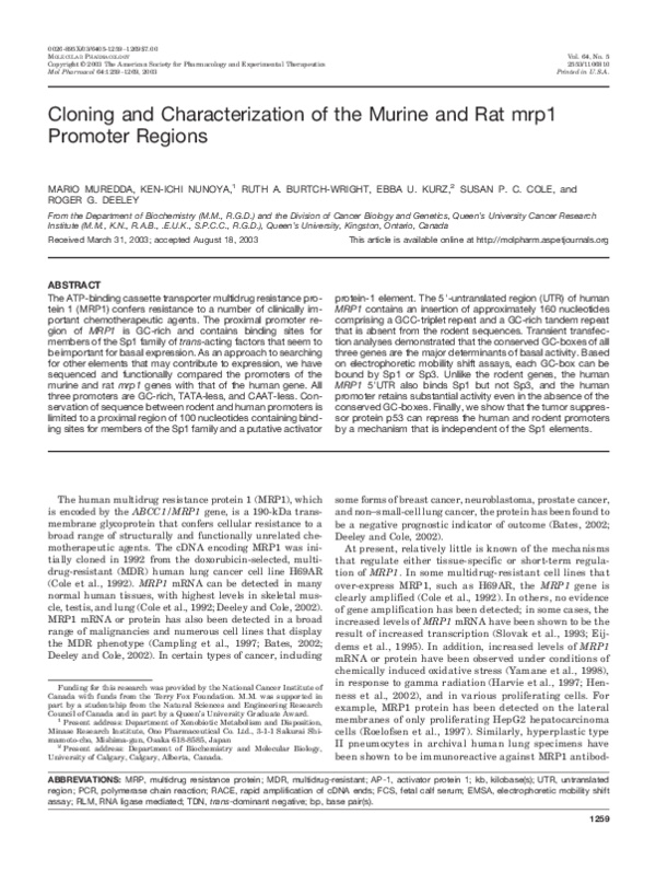 (PDF) Cloning and Characterization of the Murine and Rat mrp1 Promoter ...