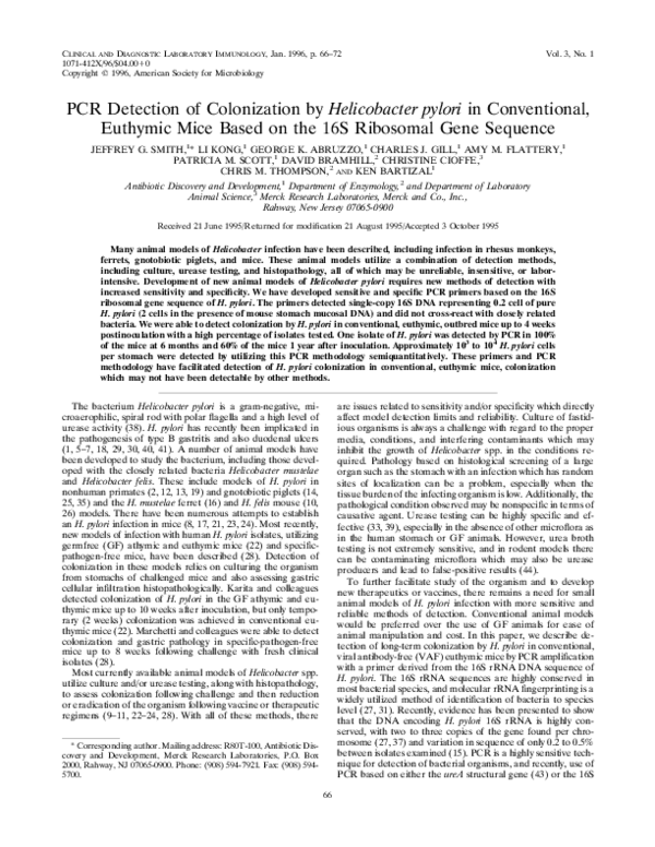 (PDF) PCR detection of colonization by Helicobacter pylori in ...
