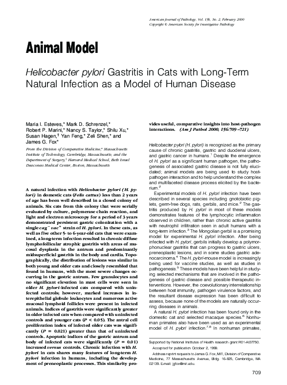 (PDF) Helicobacter pylori Gastritis in Cats with Long-Term Natural ...